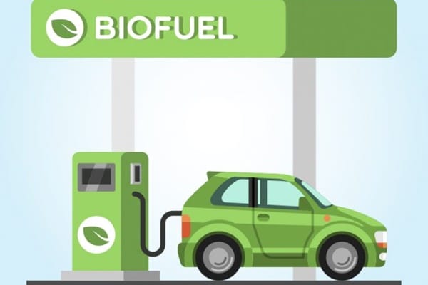 Australian-first biofuel demonstration facility in NSW - AnyAuto