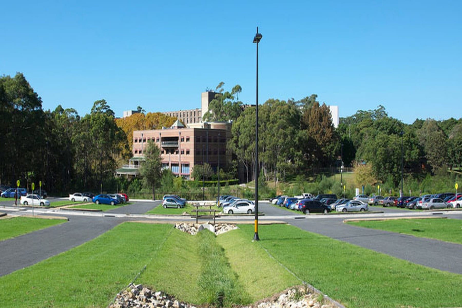 The Pros and Cons of Owning a Car in College - AnyAuto