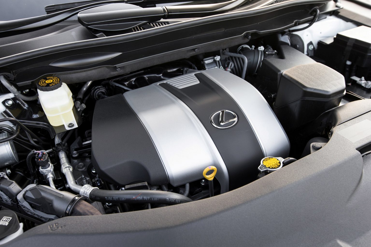 Lexus RX 350 F Sport 2022 Review - AnyAuto