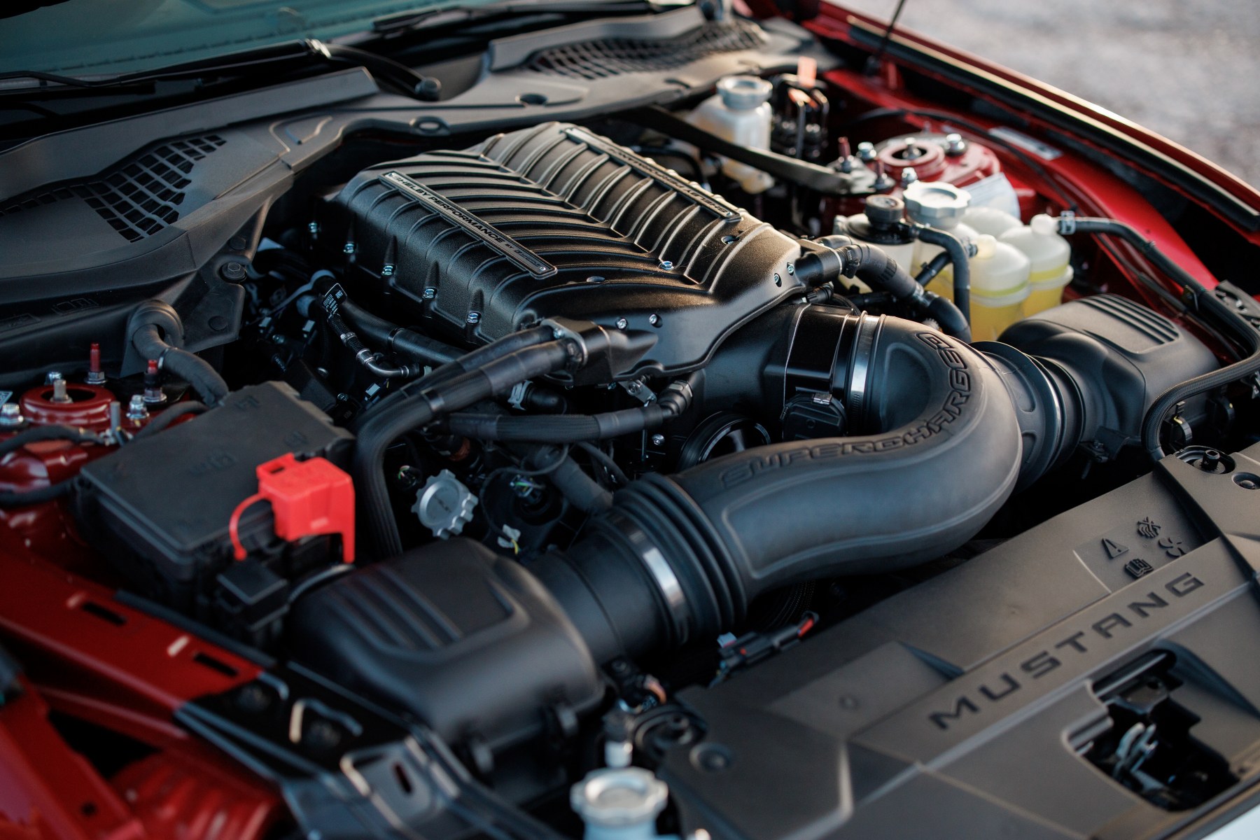 2024 Shelby Super Snake Ford Mustang - AnyAuto